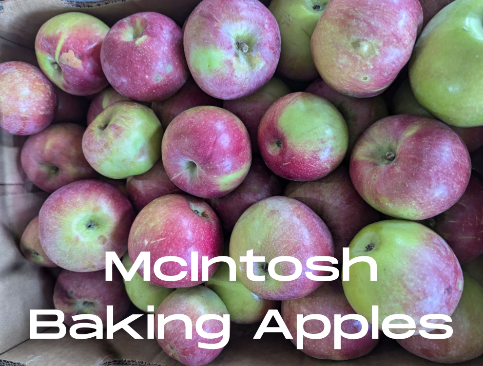 McIntosh Apples | Gochnauer Farms
